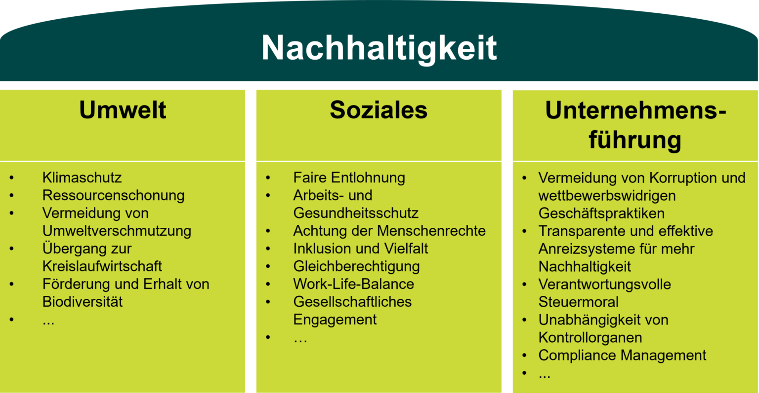 Nachhaltigkeitsmanagement im Unternehmen umsetzen - Konzepte